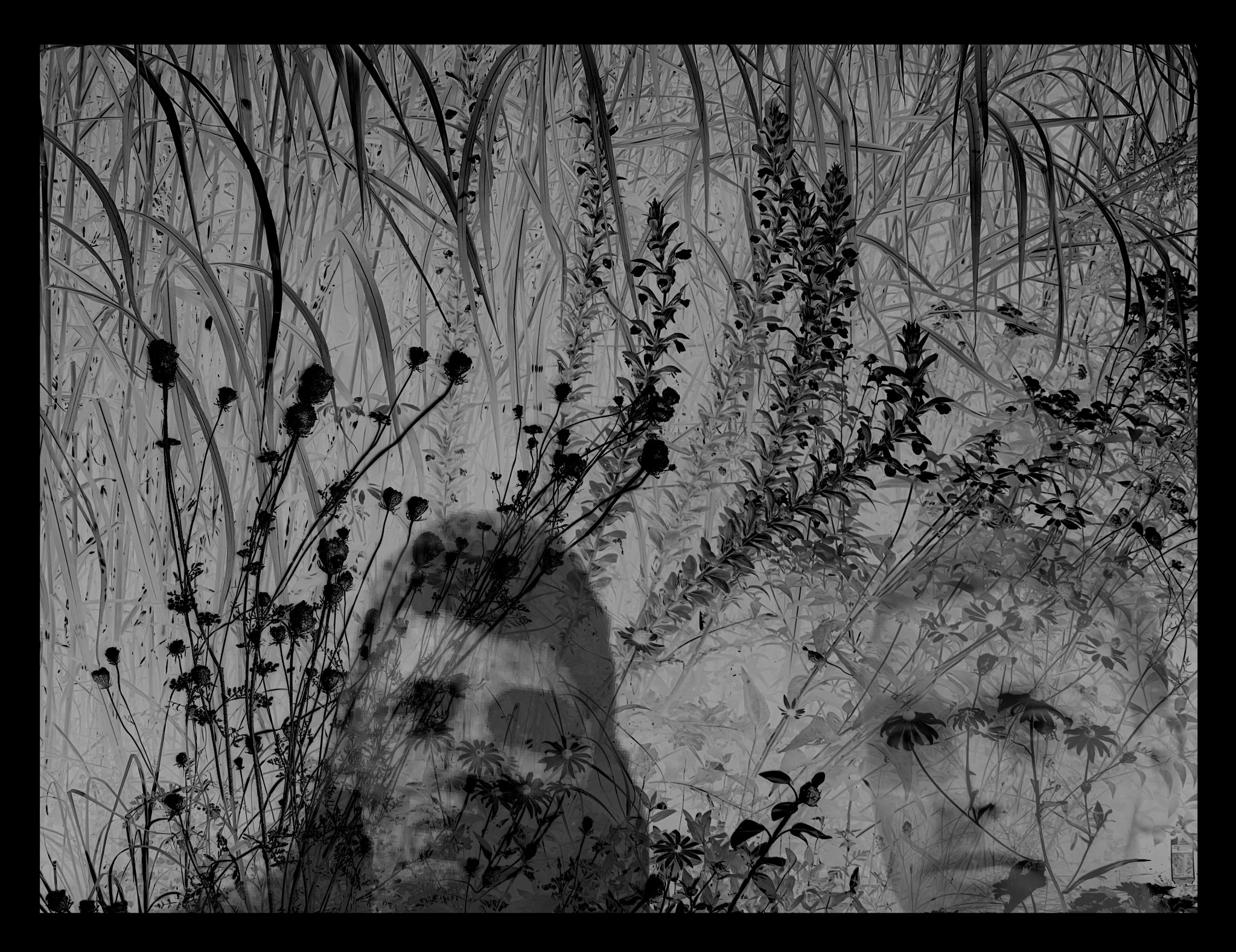 About Us – Angry Gable Press