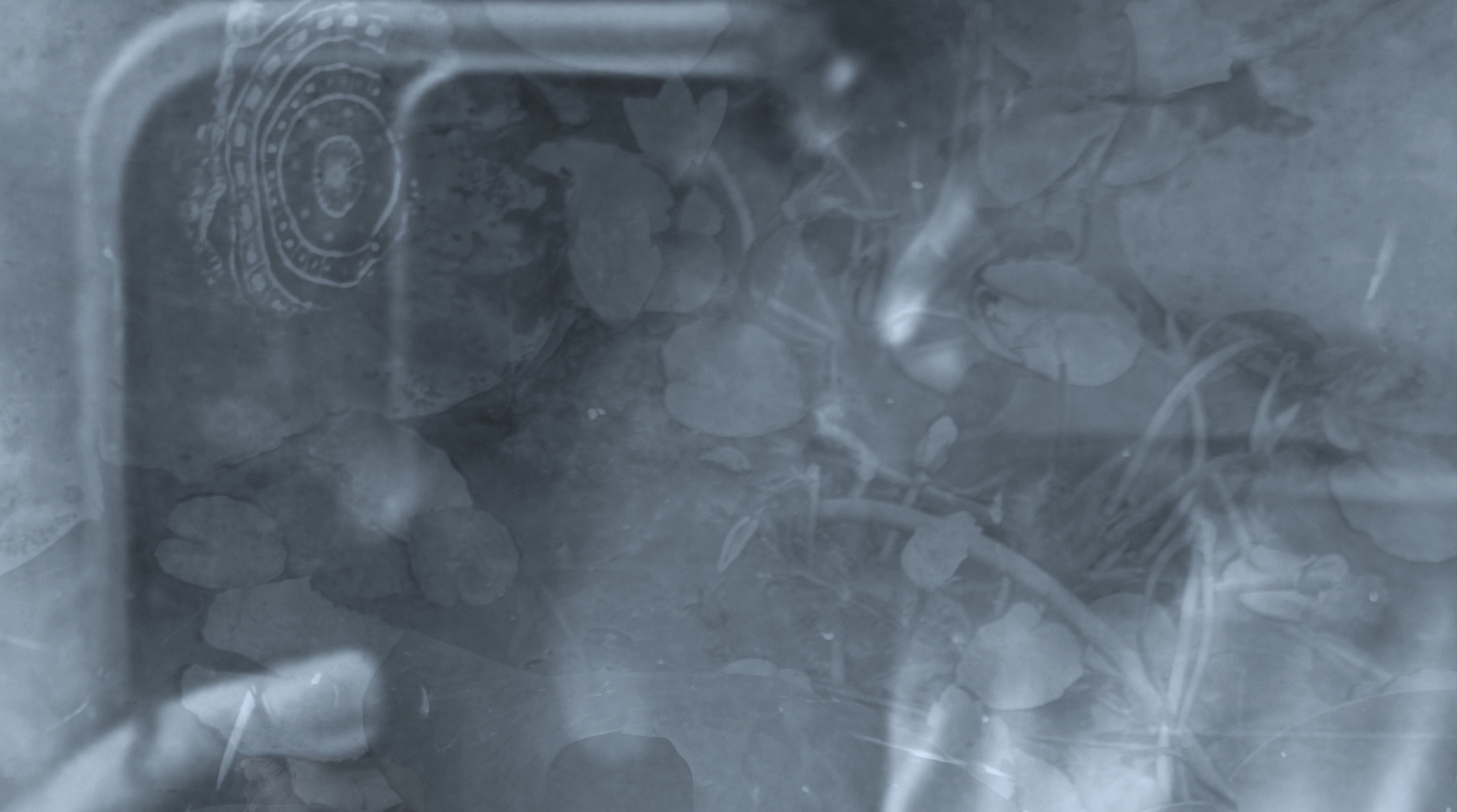 Anthologies – Angry Gable Press